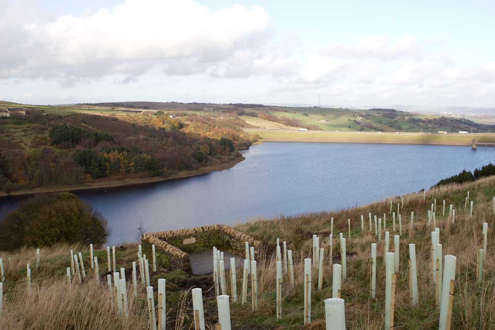 Baker Acre and Baker Stonecote « thebakersofscammonden.co.uk